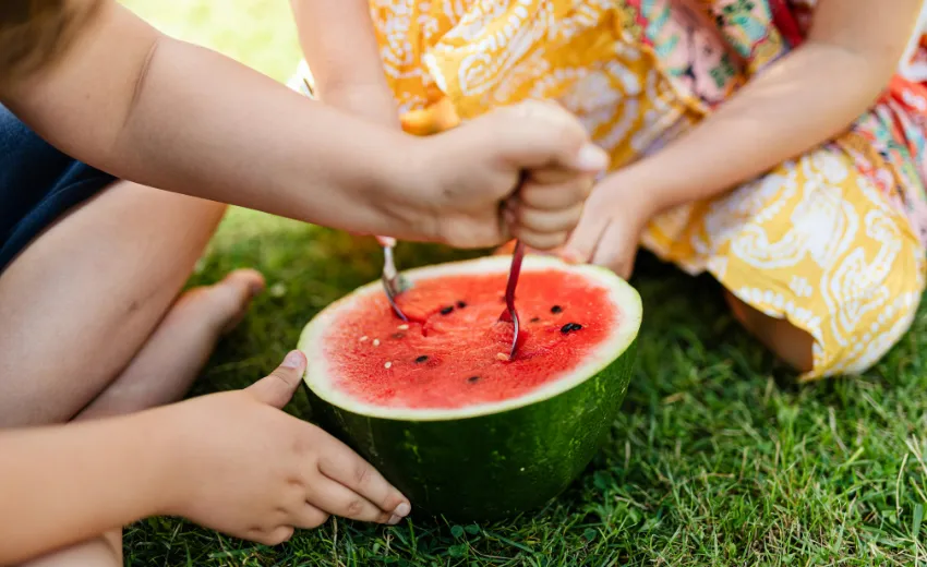 6 recetas de verano fáciles, refrescantes y nutritivas - Claror